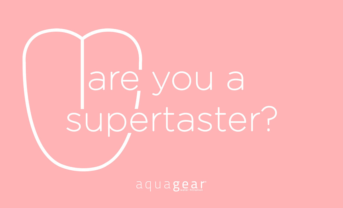 Are you a Supertaster? | Aquagear