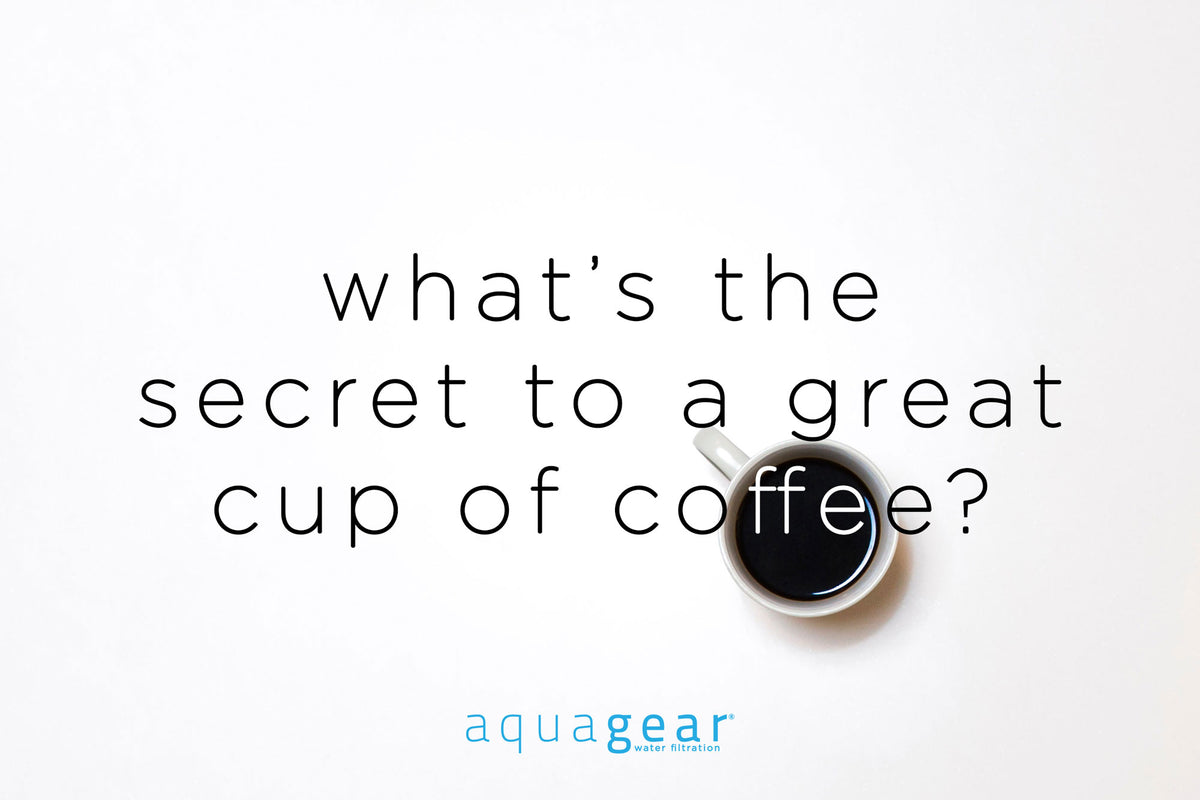 What's the secret ingredient to a great cup of coffee? | Aquagear